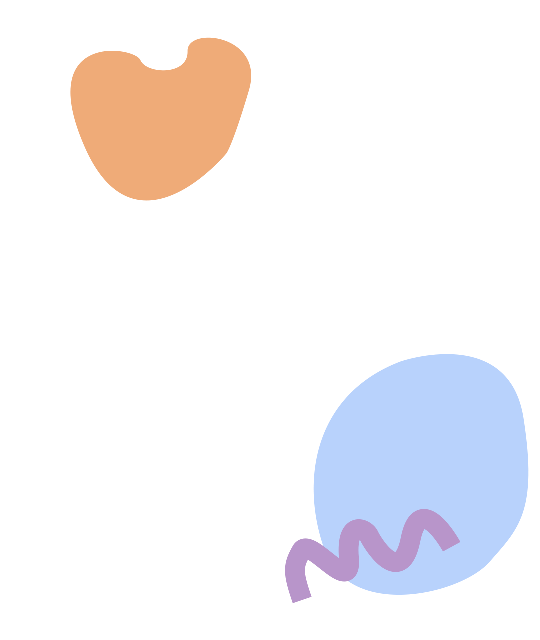 About - iDevelop Learning